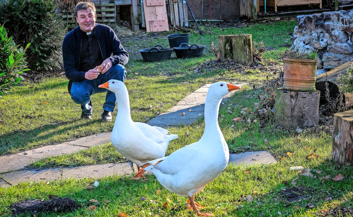 Statt im Backofen landen Lea und Leif auf der Burg