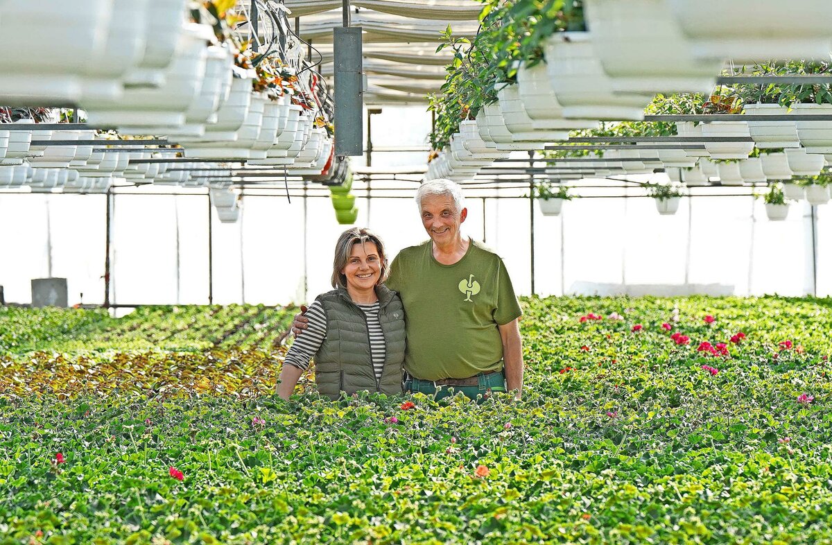 Aus nach fast sieben Jahrzehnten: Gärtnerei Weise stellt den Betrieb ein