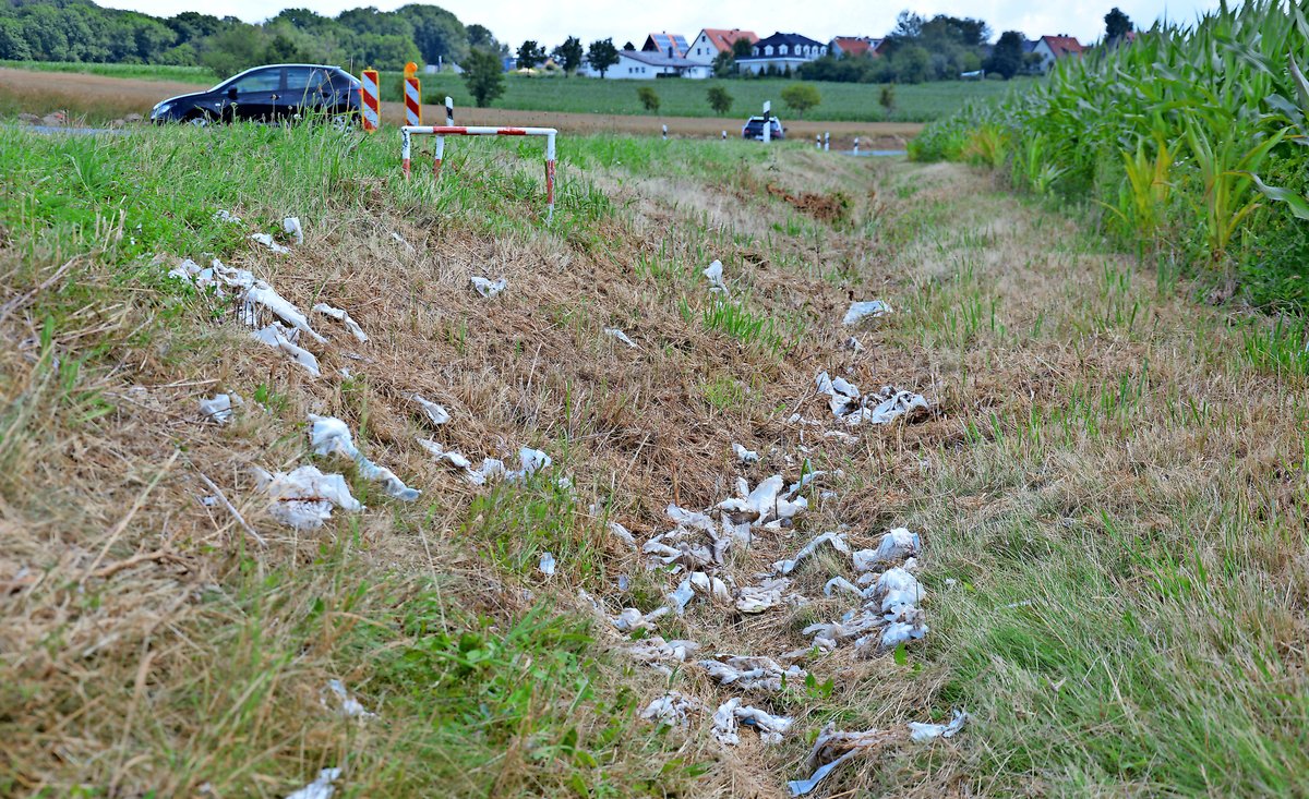 Das stinkt den Lechstedtern: Volle Windeln in der Natur