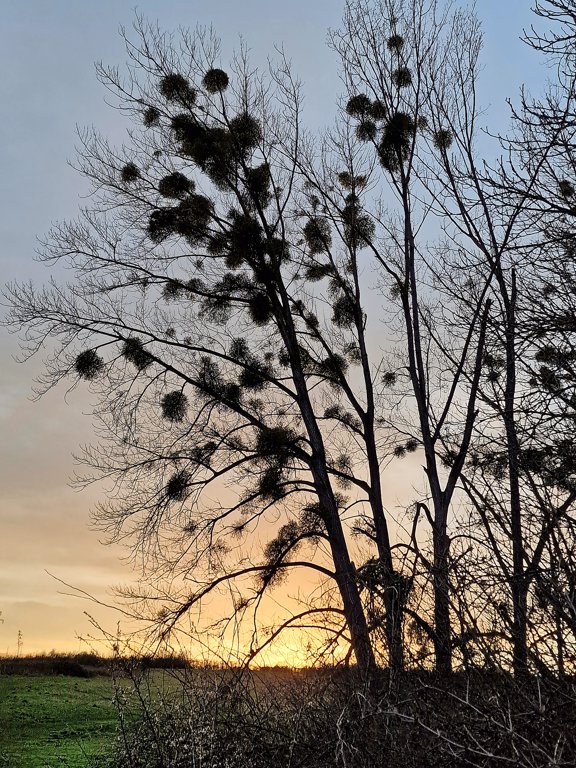 Hingucker-Favorit der HAZ-Leser: Abendstimmung am Osterberg
