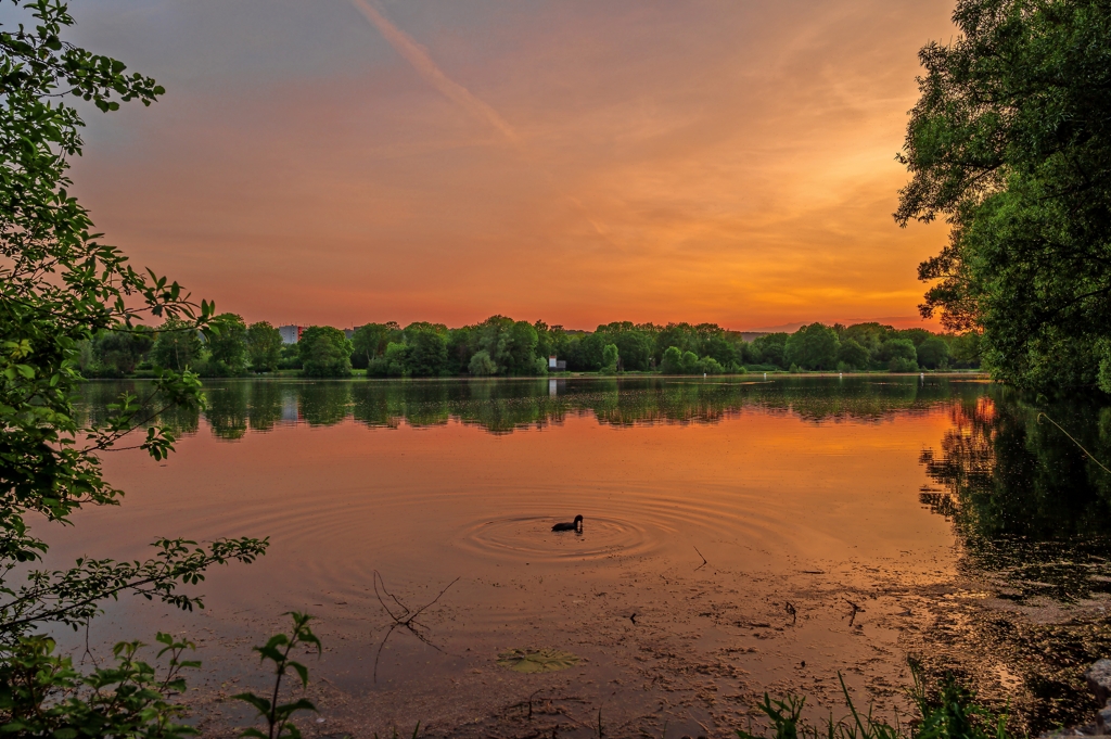 Hingucker: Der rote See von Hildesheim