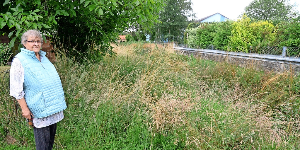 Bach bei Bockenem: Heftigeres Hochwasser wegen zu wenig Pflege? Bach bei Bockenem: Heftigeres Hochwasser wegen zu wenig Pflege?