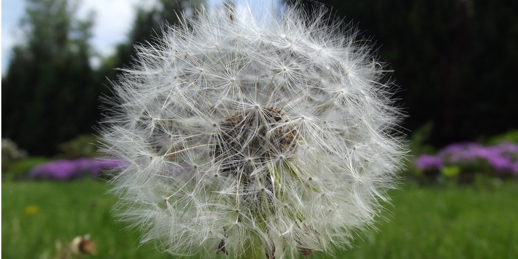 Hingucker: Noch nicht vom Winde verweht