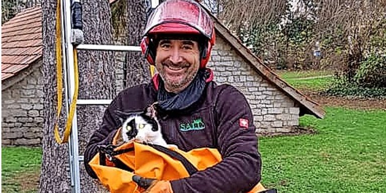 Katzen-Rettung vor Hildesheimer Hotel: Helfer arbeiten Hand in Hand