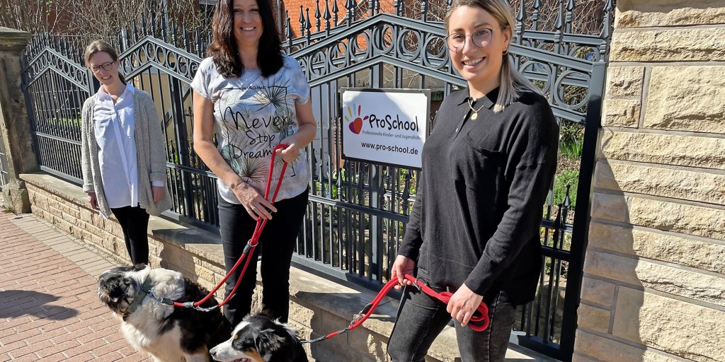 Therapie mit Hunden: Hilfe für Schüler in der Region Hildesheim