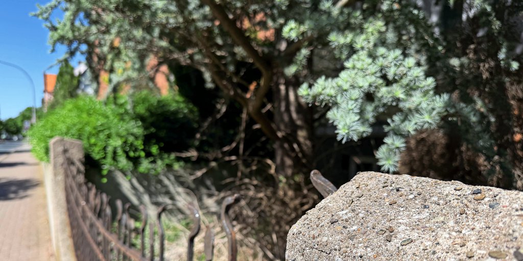 Mauer bauen, Hecke pflanzen, Bäume fällen – auch auf dem eigenen ...