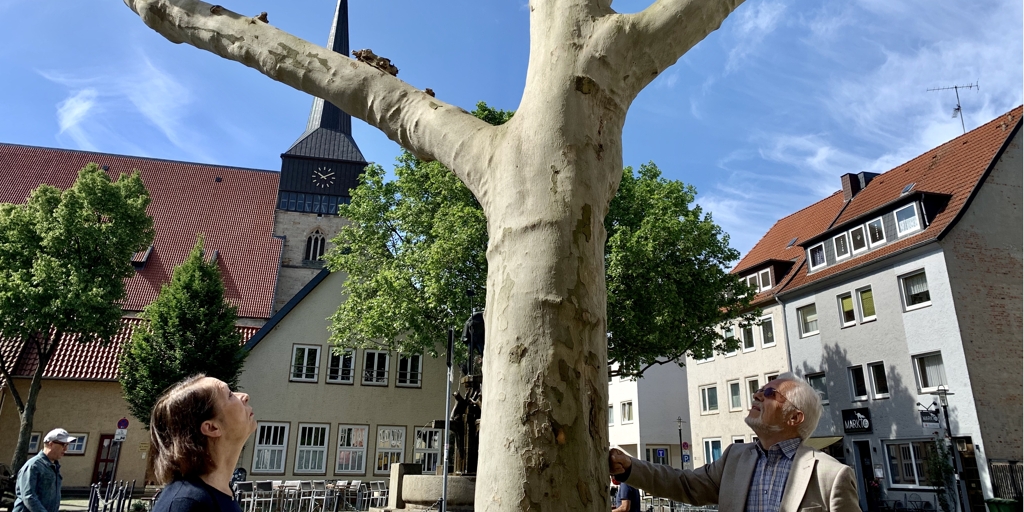 Säge-Einsatz auf dem Neustädter Markt: Hätte besser laufen können