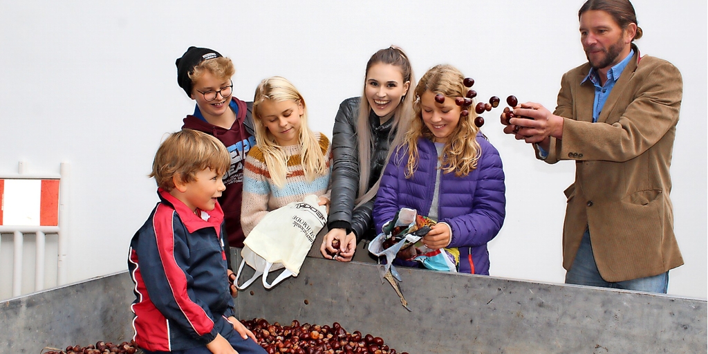 Hildesheimer Wildgatter nimmt säckeweise Kastanien ein